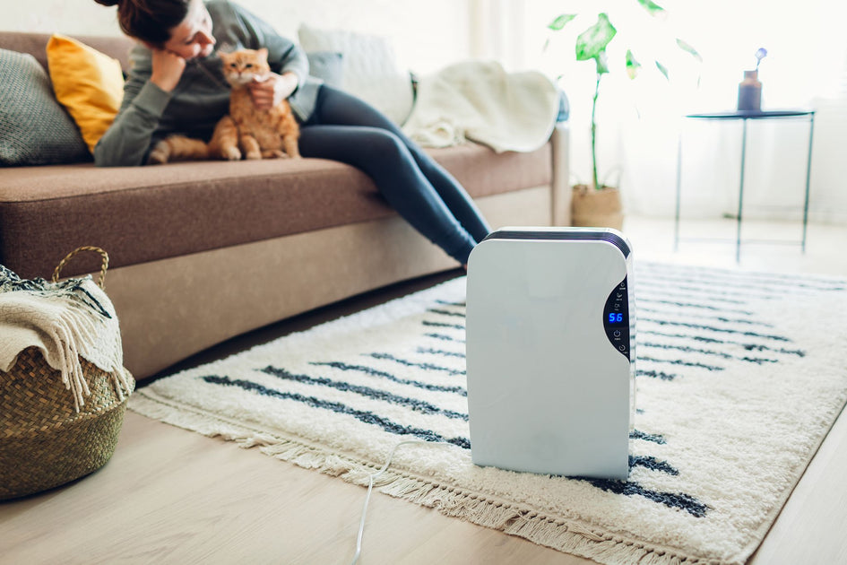 How to keep mould at bay this winter – All Pure Cleaning